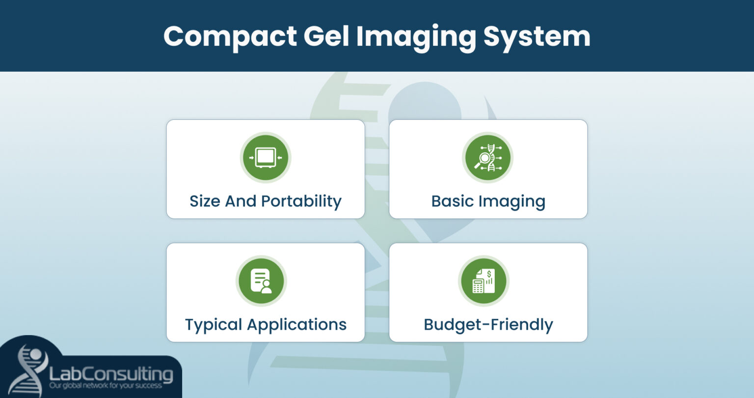 Compact vs Advanced Gel Imaging Systems | LabConsulting