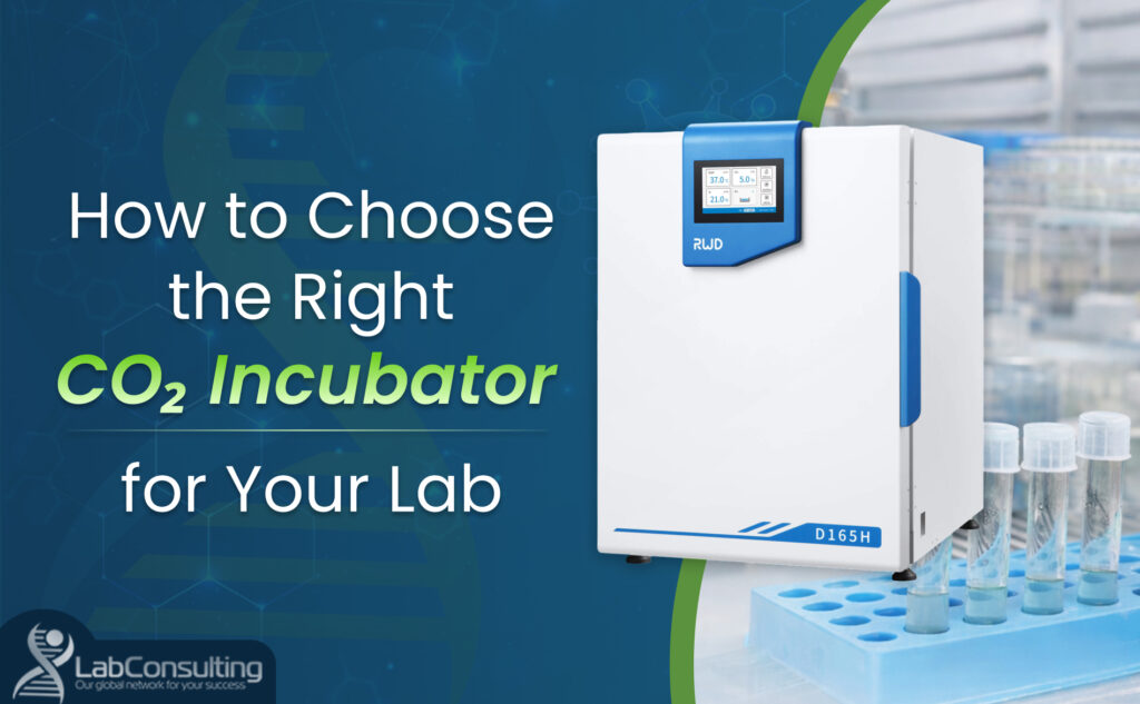 CO₂ Incubator Guide: Features, Uses & Lab Selection